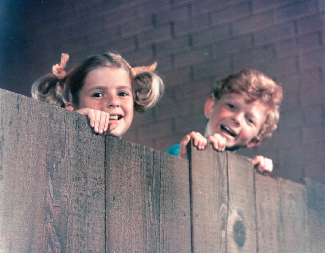 Johnny Whitaker Played Jody on “Family Affair.” See Him Now at 62 ...