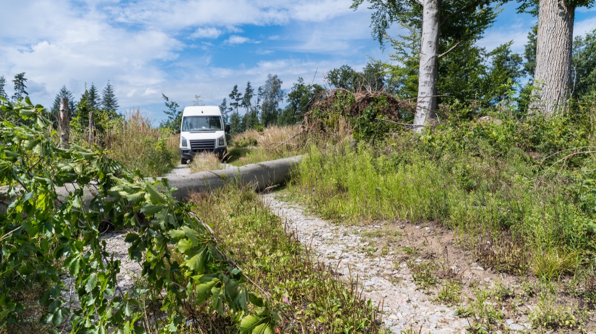 5 Reasons Your Mail Might Not Be Delivered, USPS Warns — Best Life