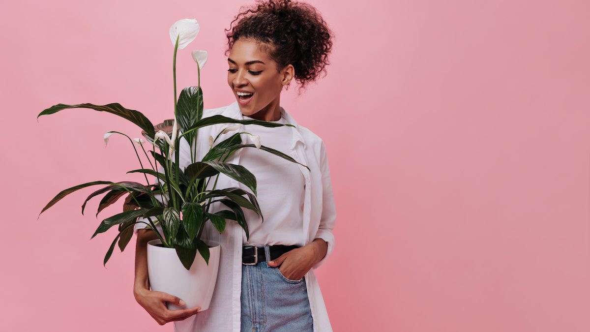 Add a Sponge to the Bottom of the Pot to Save Your Plants — Best Life
