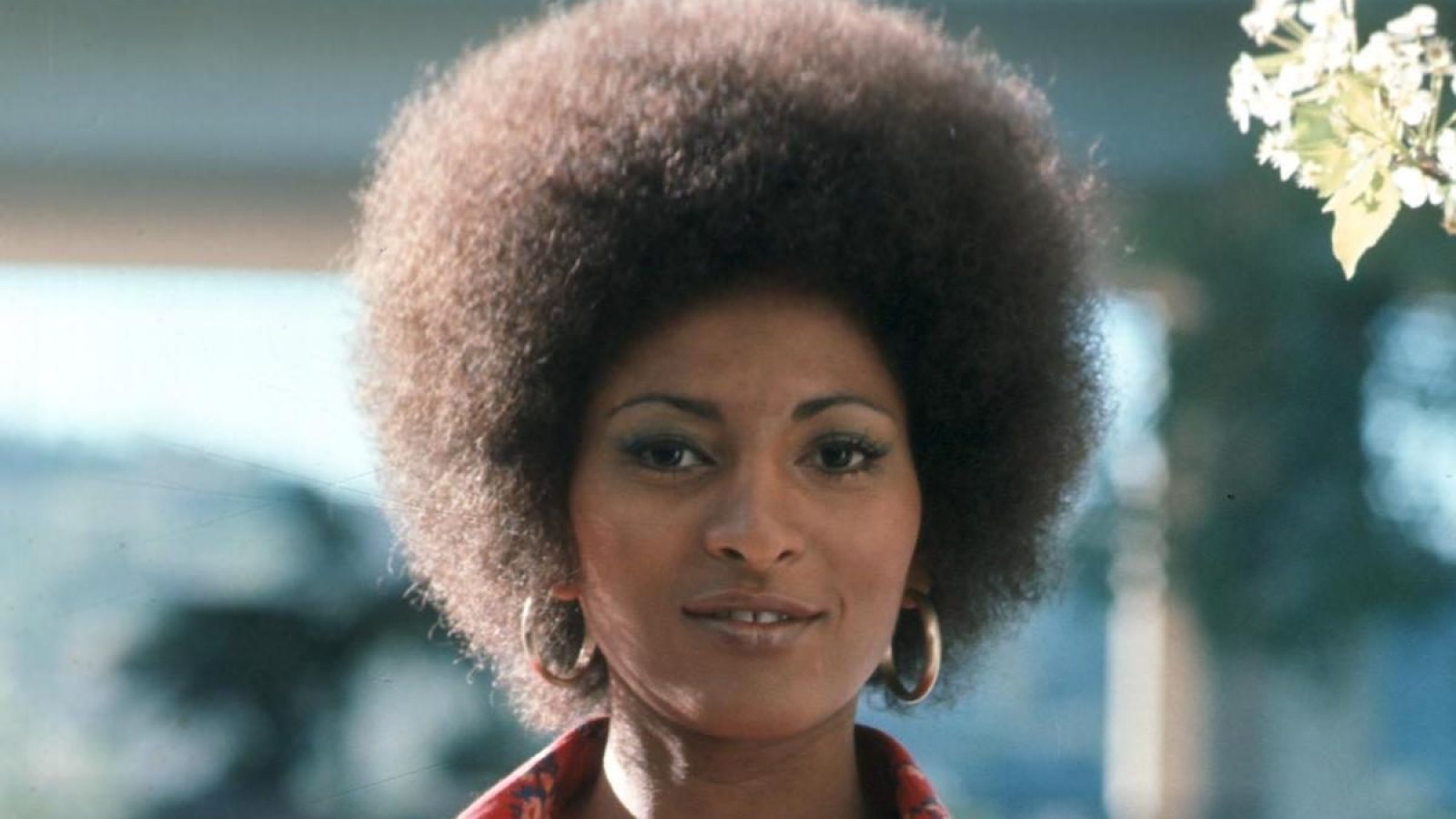 See '70s Icon Pam Grier Now at 72 — Best Life