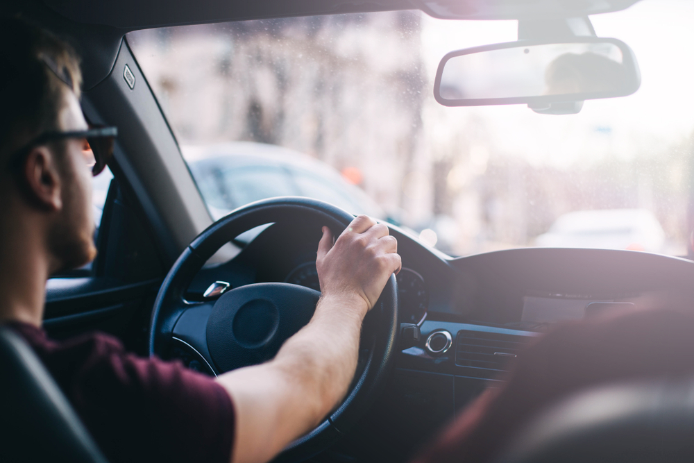 The No. 1 Sign There's a Snake in Your Car — Best Life