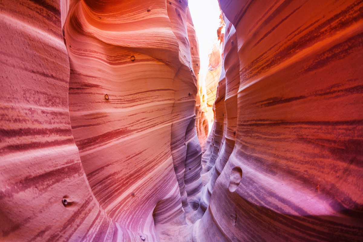 8 Breathtaking Reasons to Visit Zion National Park — Best Life