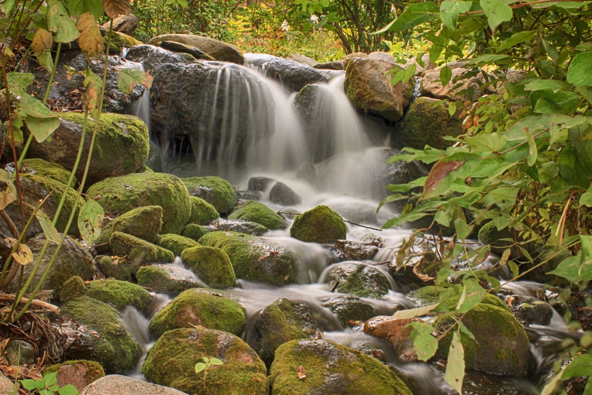 The 10 Best U.S. Spots You Need To Travel to This Summer, New Data Says ...