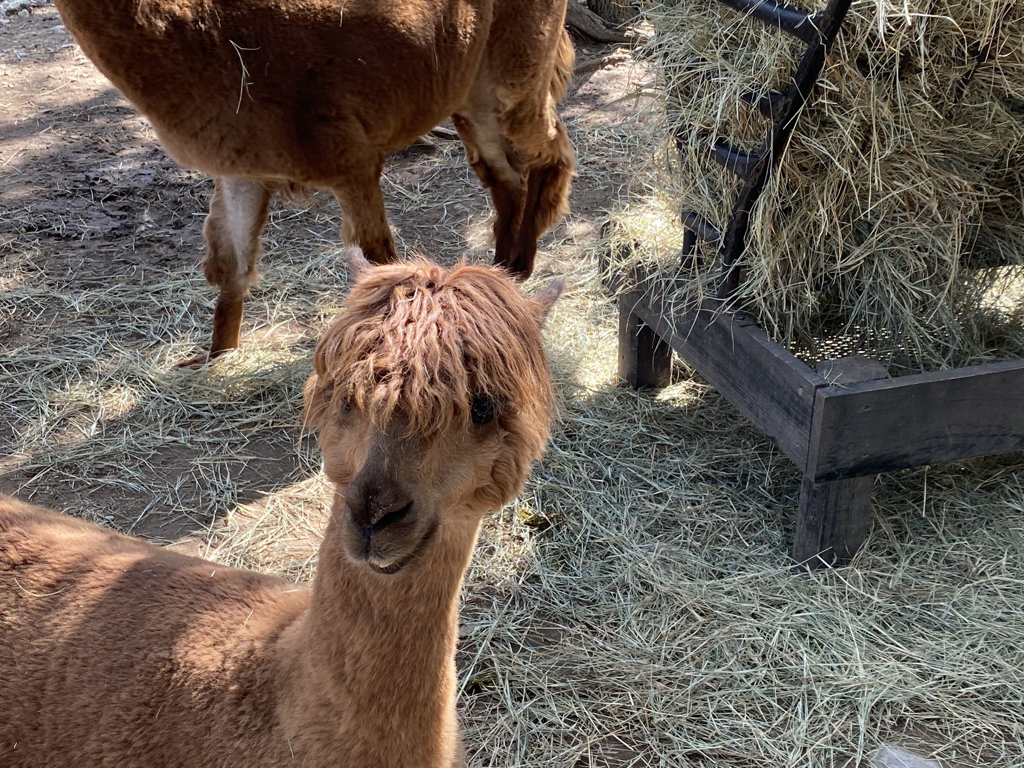 27 Things to Do in Austin for Kids, Couples, and Adults — Best Life