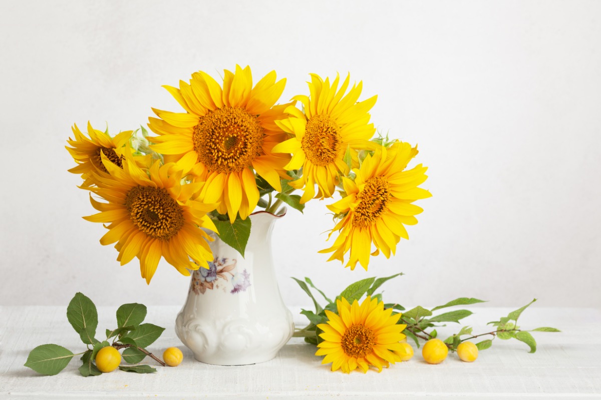 The Best Flower for Your Zodiac Sign — Best Life