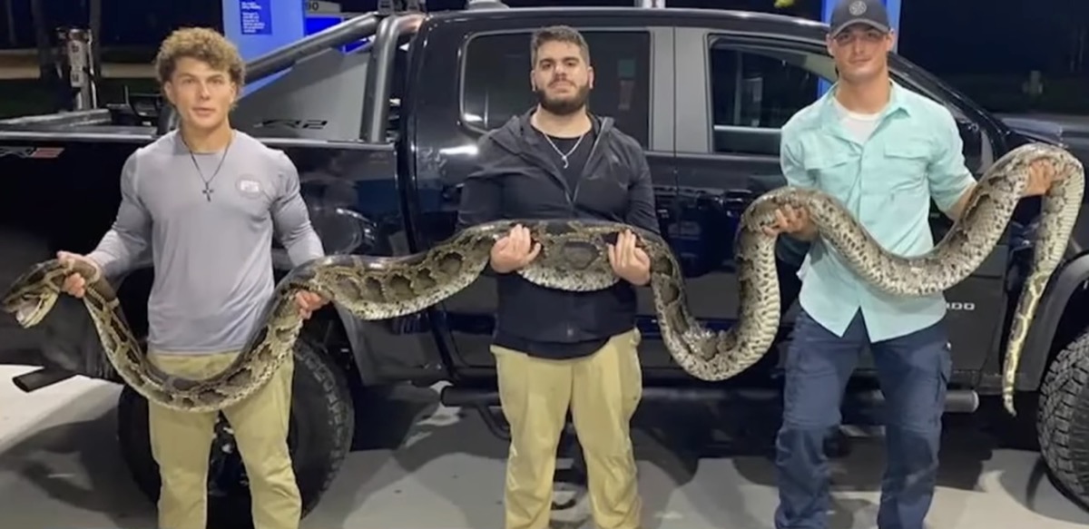 15 Police-Approved Excuses for Speeding — Best Life