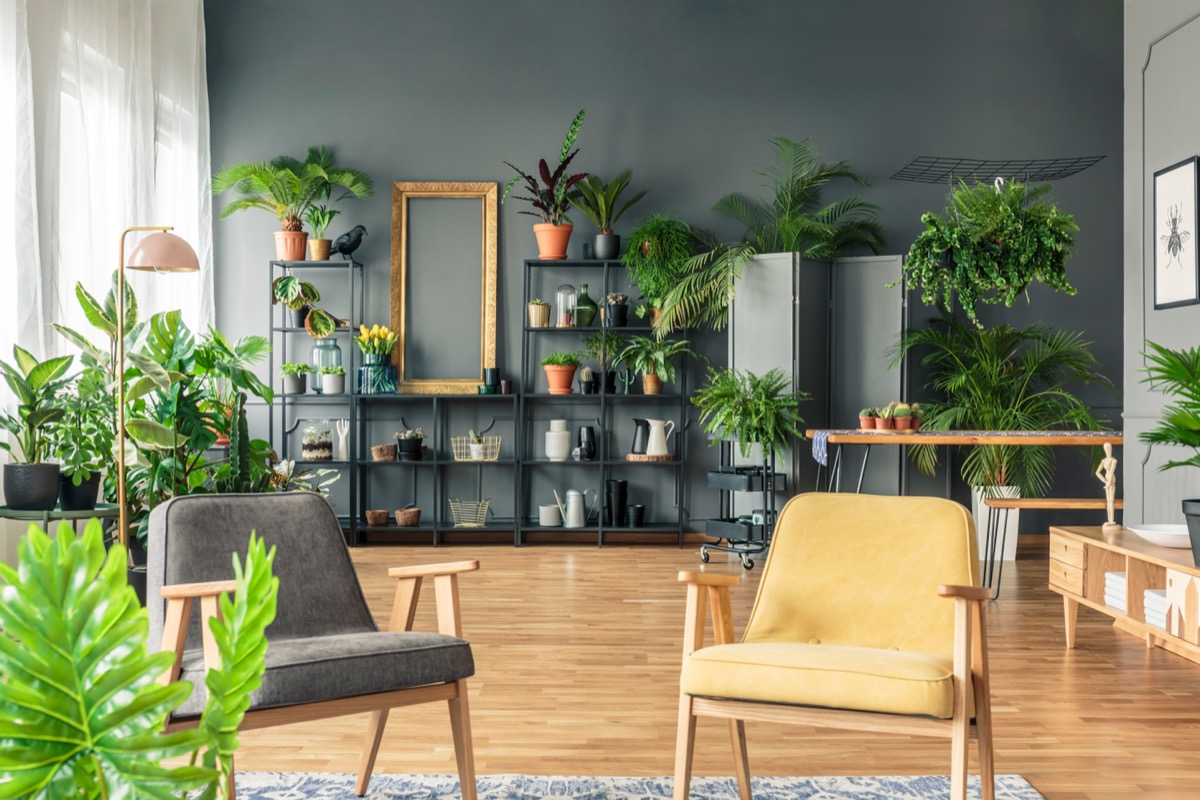 Interior Designers Swear by These Costco Hacks — Best Life