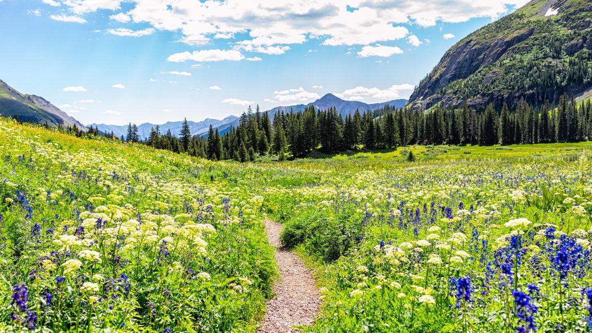 The 7 Best National Forests That Need to Be on Your Bucket List — Best Life
