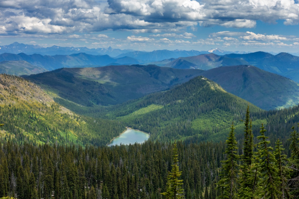The 7 Best National Forests That Need to Be on Your Bucket List — Best Life