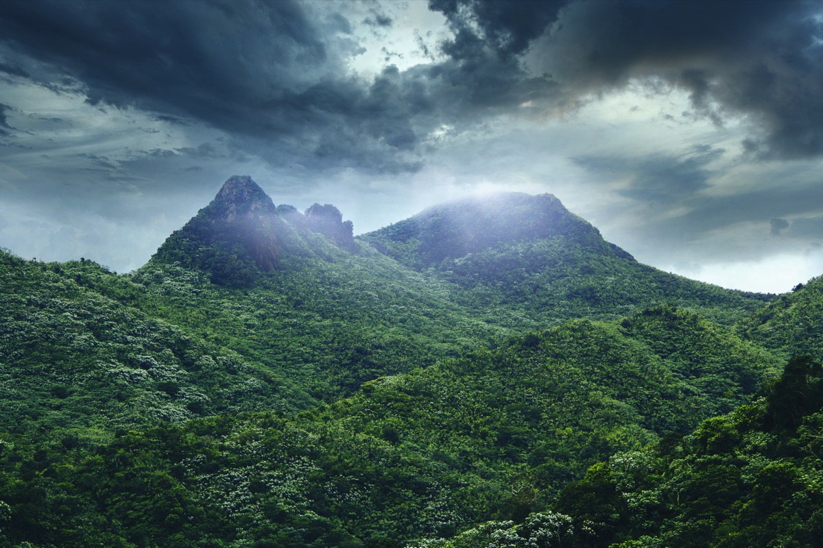 The 7 Best National Forests That Need to Be on Your Bucket List — Best Life