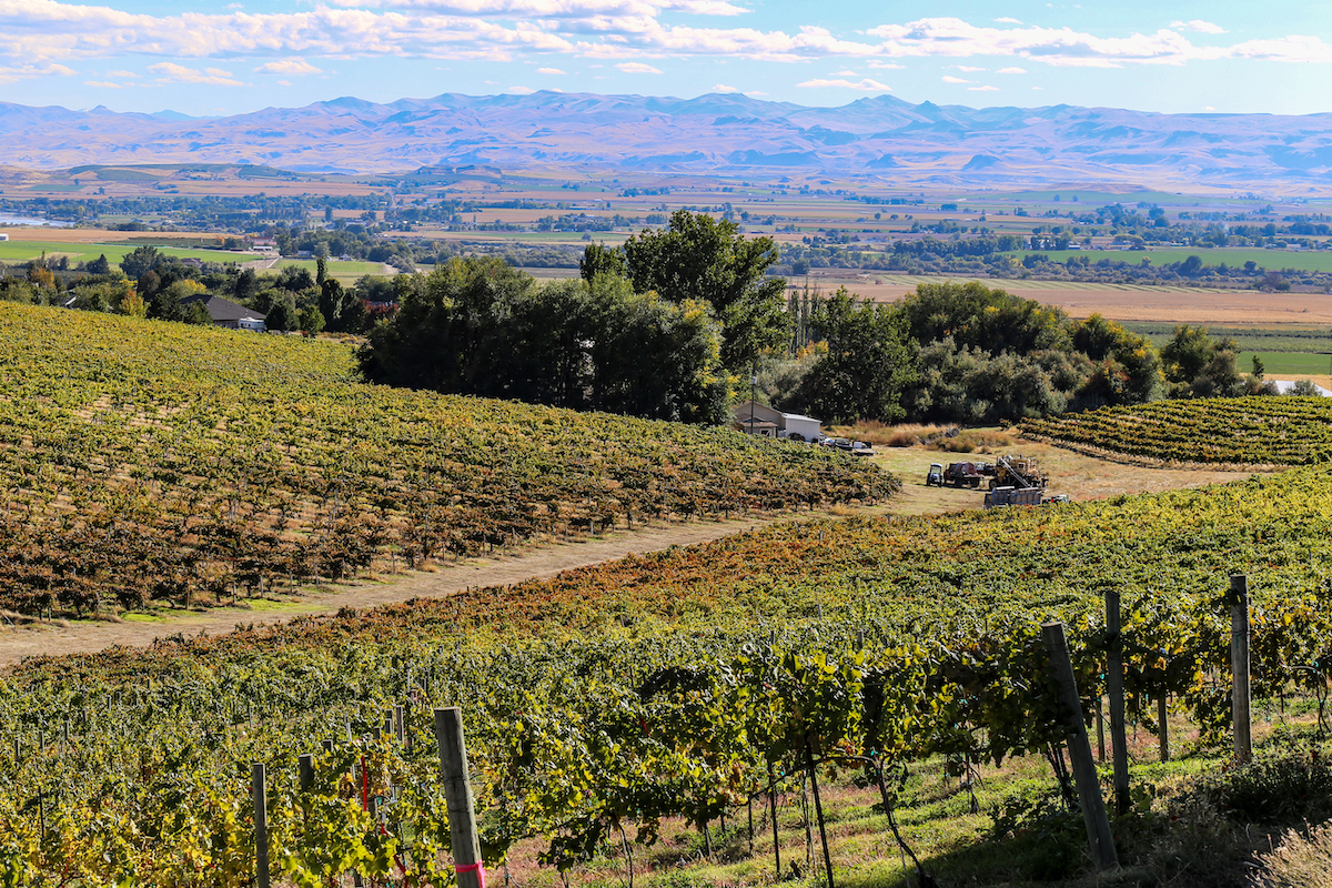 The 12 Best U S Cities To Visit For Wine Lovers Best Life