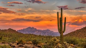 26 Things to Do in Phoenix: Hikes, History, and Museums