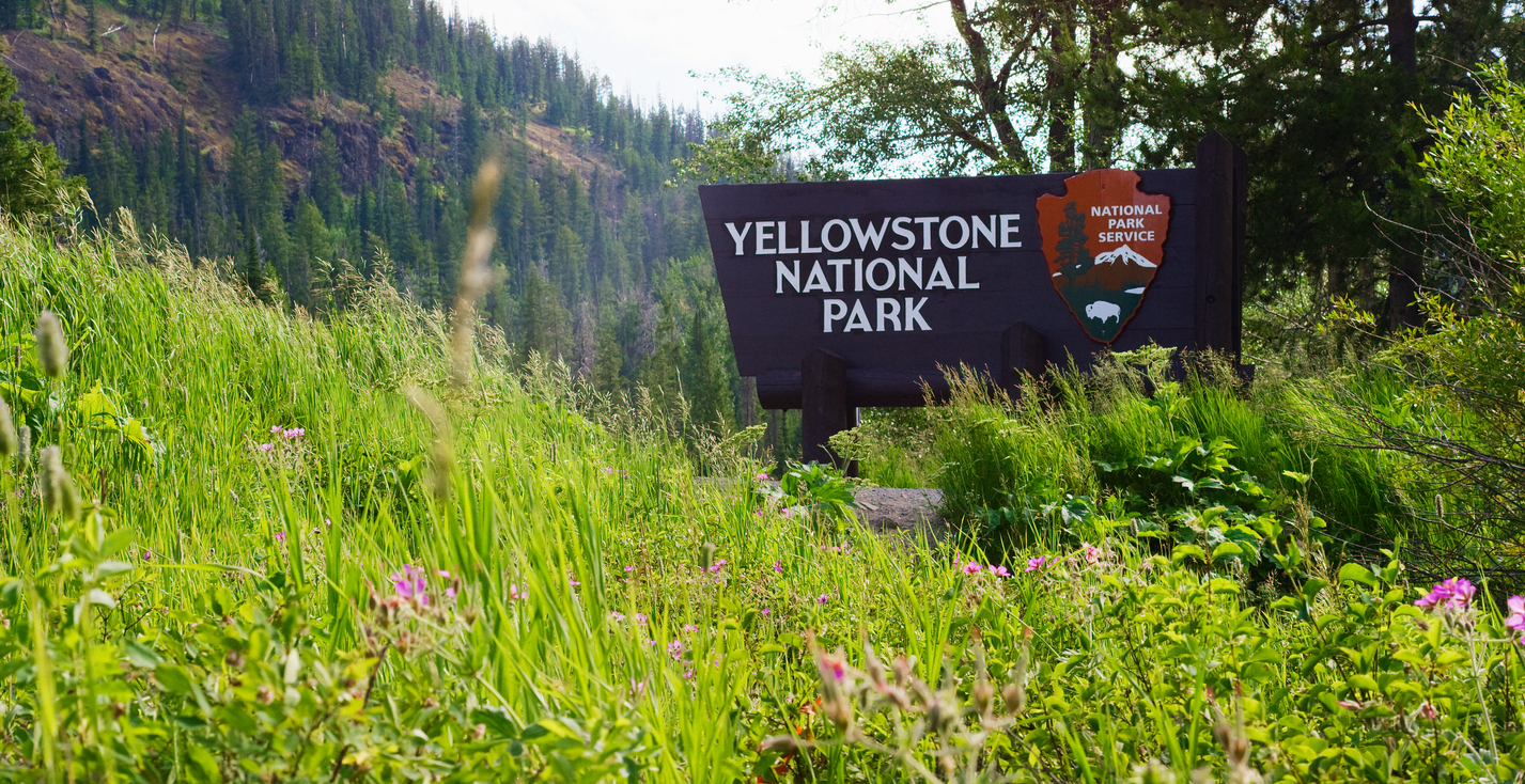 Yellowstone National Park Rangers Urge Caution Near This "Unpredictable ...