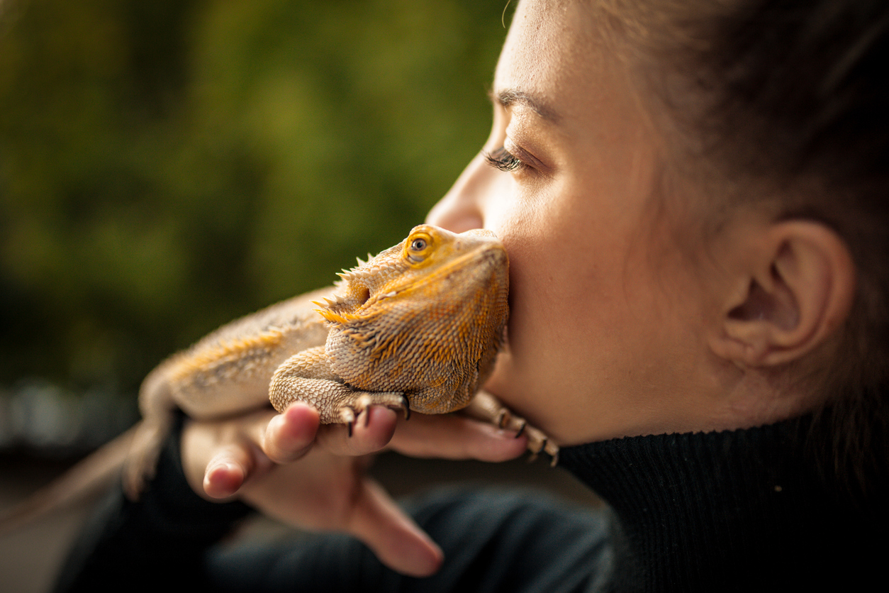 6 Reptiles That Make Great Pets, According to Experts — Best Life