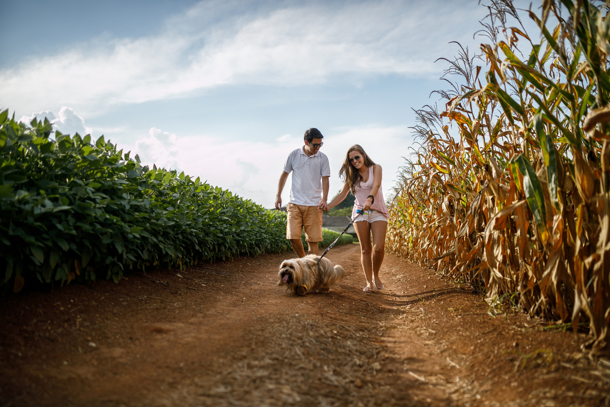 The Fall Excursion You Should Take, Based on Your Zodiac Sign — Best Life