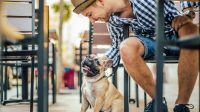 The 10 Most Dog-Friendly Cities in the U.S. — Best Life