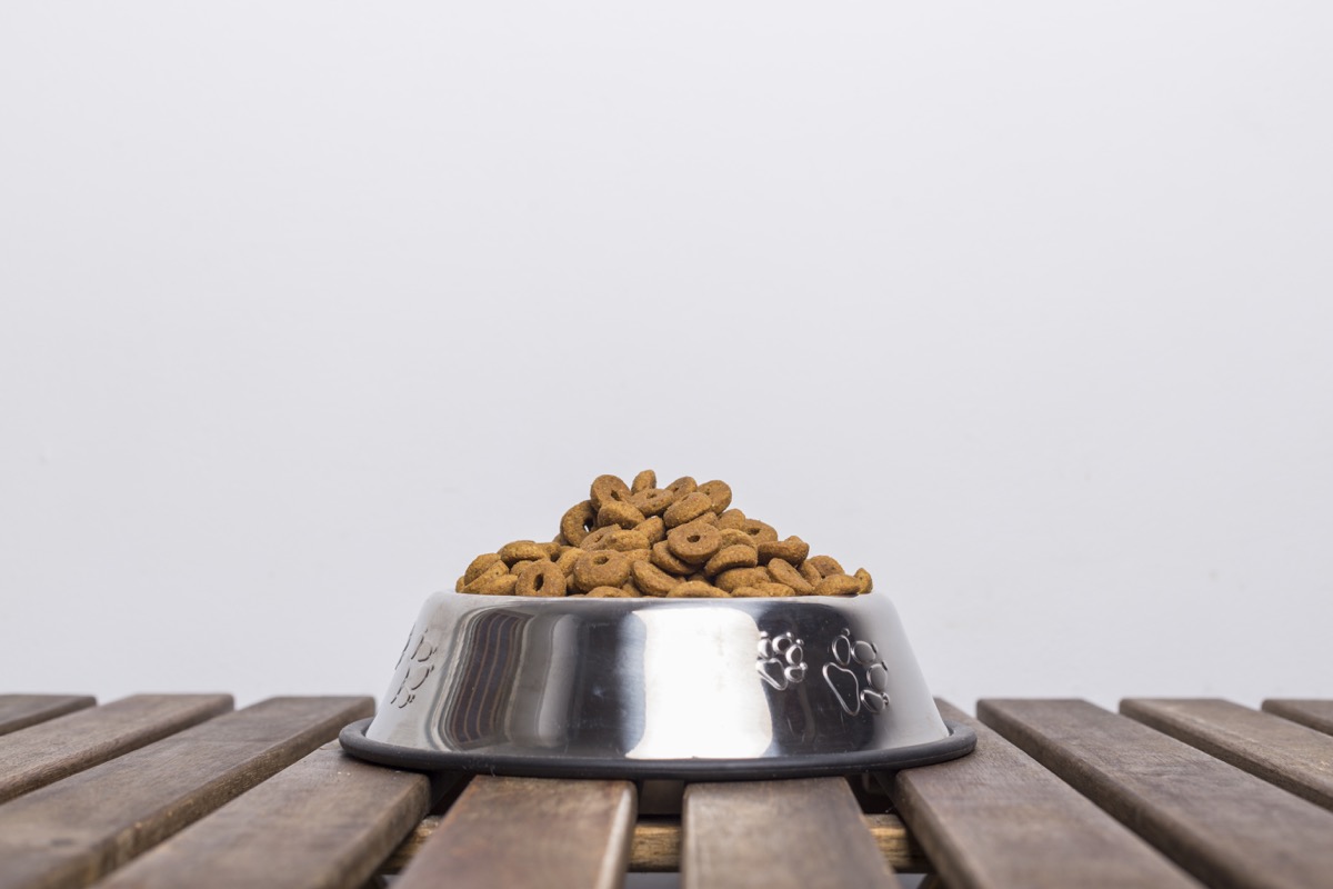 How Often You Should Really Clean Your Pet Bowls — Best Life