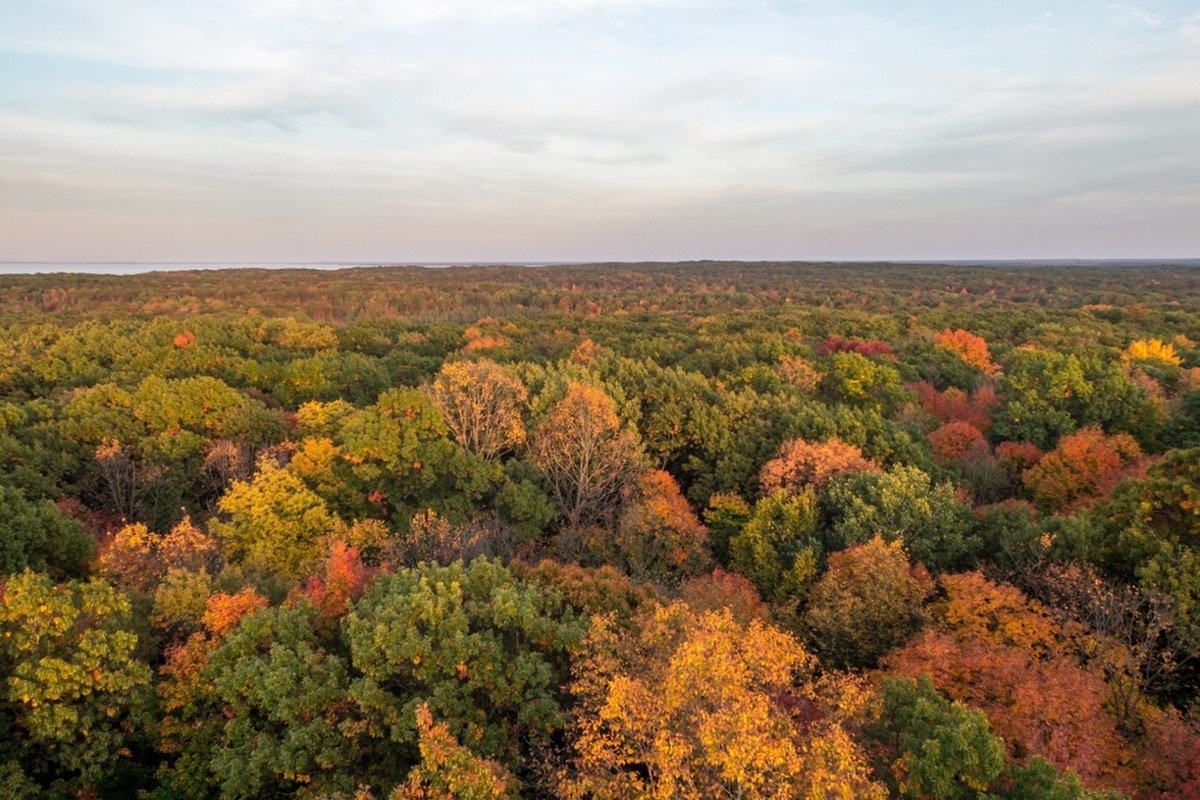When Fall Foliage Will Be Best in Every Region — Best Life