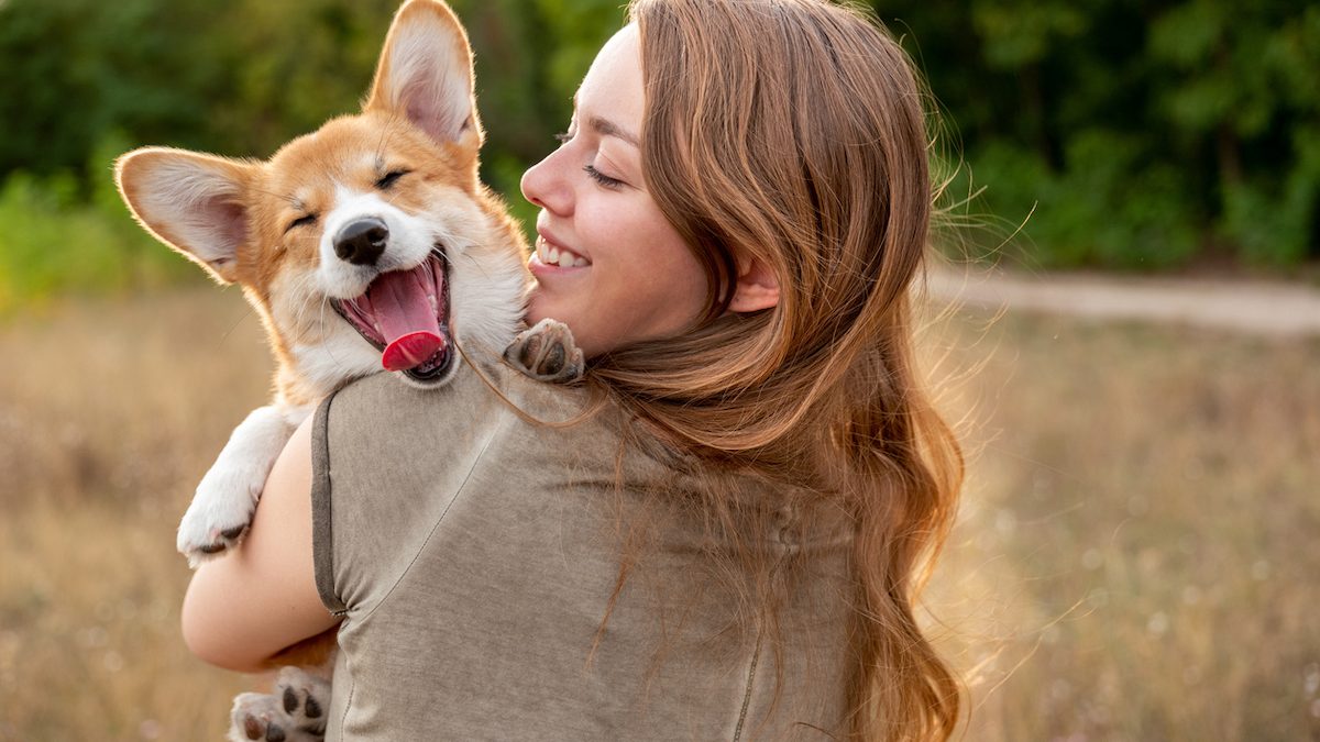 Why Corgis Make Great Pets, According to Experts — Best Life