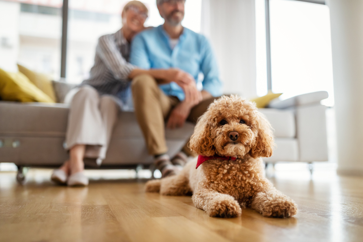 The Best Dog Breed for Your Zodiac Sign — Best Life