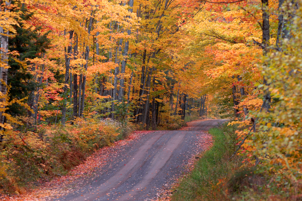 12 Best U.S. Road Trips to See Fall Foliage — Best Life