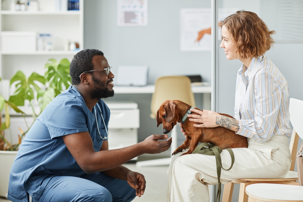 The 5 Biggest Mistakes Dog Owners Make at the Vet — Best Life
