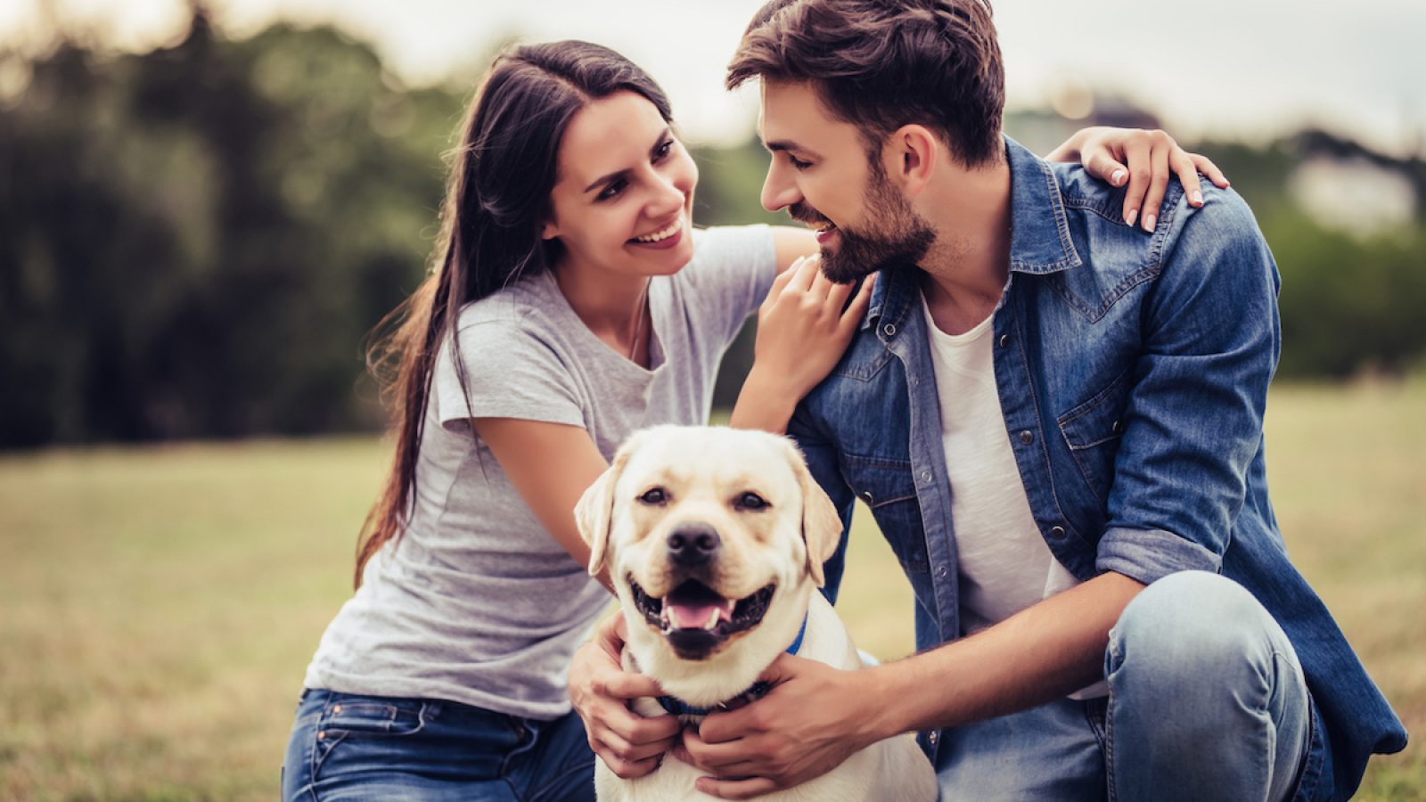People With These Dog Breeds Make the Best Romantic Partners — Best Life