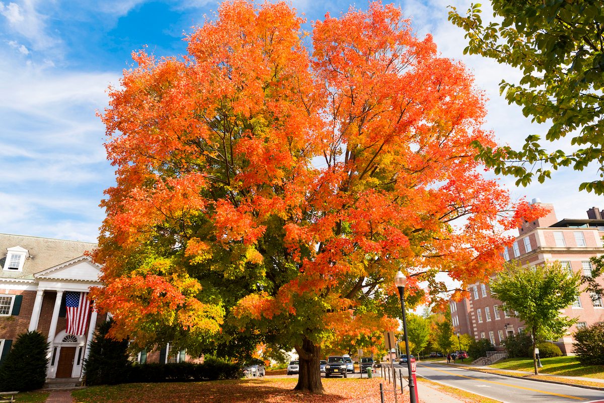 The Small Town That Best Suits You, Based on Your Zodiac Sign