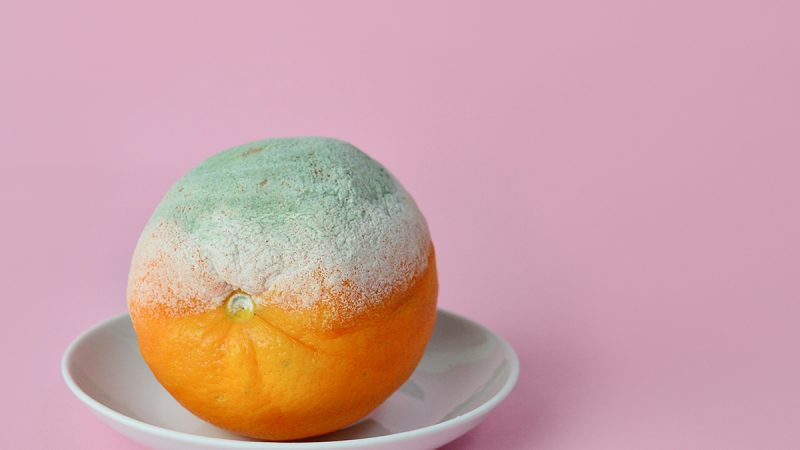 What Happens If You Accidentally Eat Moldy Food — Best Life