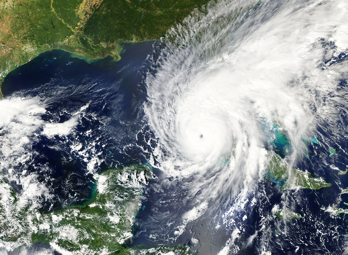 Top 5 Healthiest Cooking Oils Recommended by Dietitians