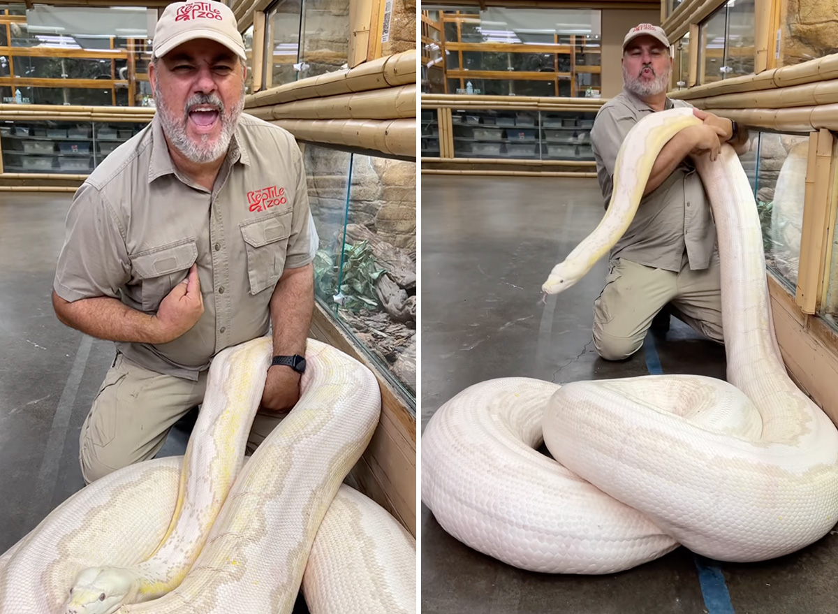 Snake Breeder Hugging Giant Python, Calling it "Amazing Friend"