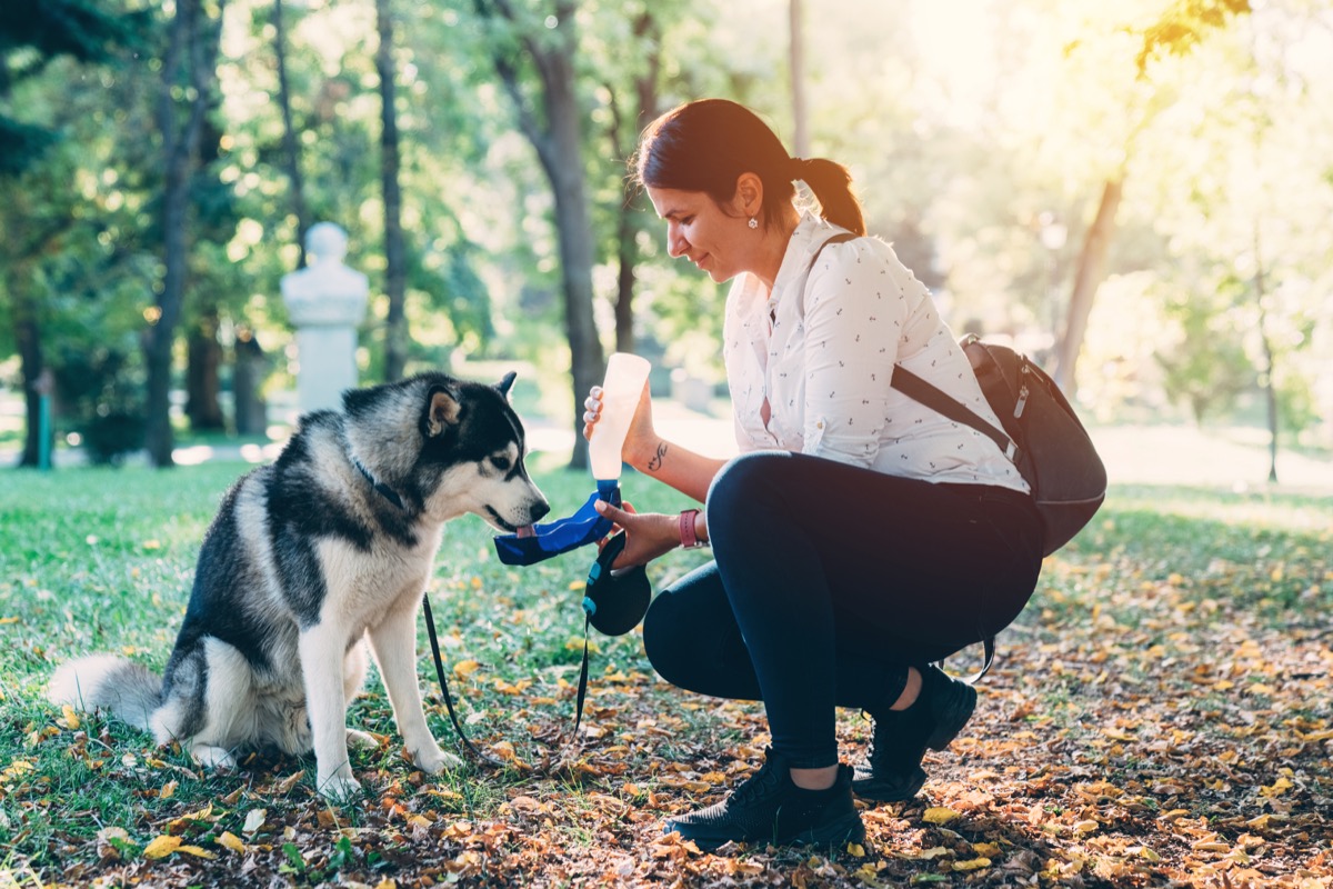 Never Do This When Hiring a Pet Sitter, Experts Say — Best Life