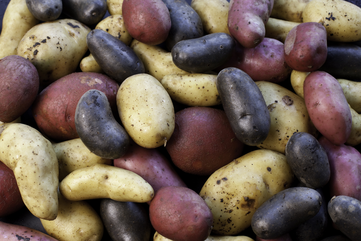 The Vegetable You Should Eat, Based on Your Zodiac Sign — Best Life