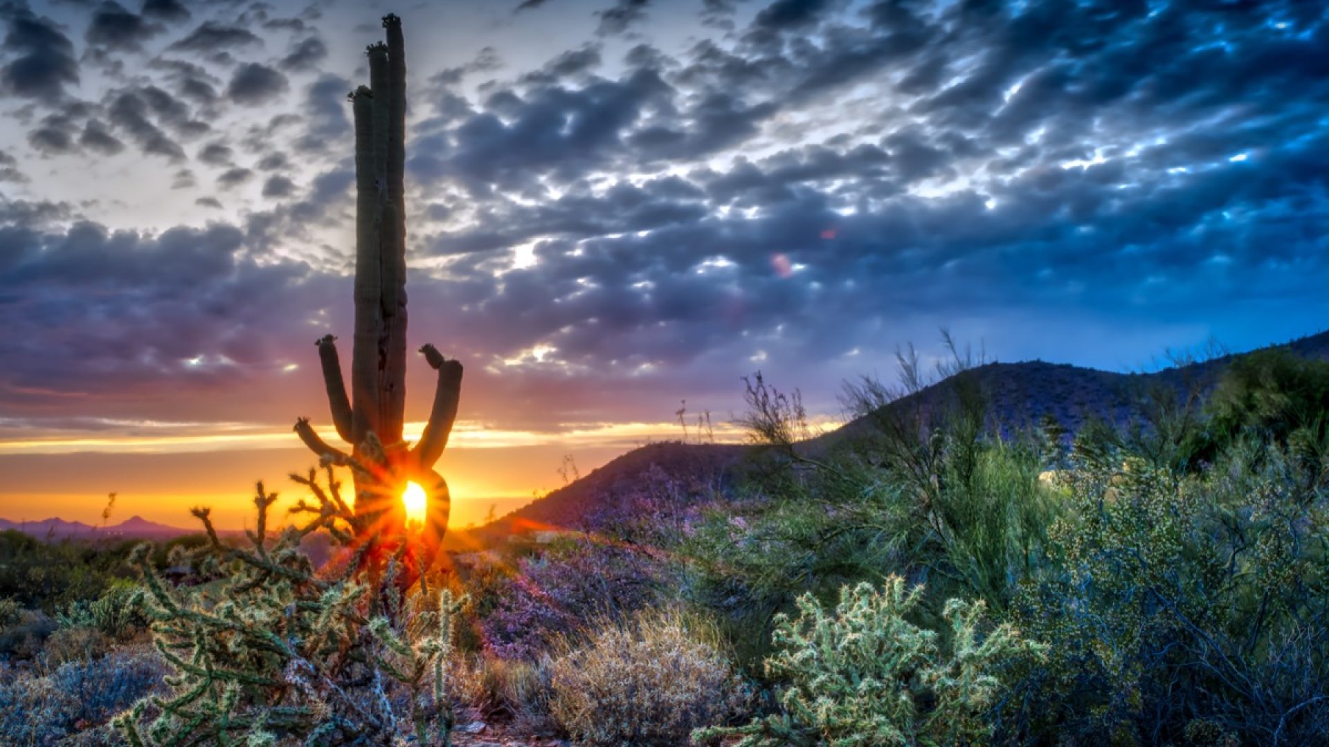 The Best Desert Towns in the U.S. — Best Life