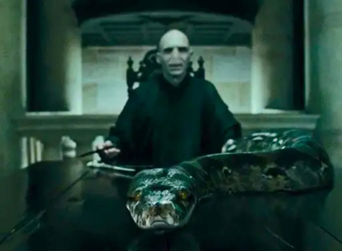 The 6 Creepiest-Looking Snakes, According to Experts — Best Life