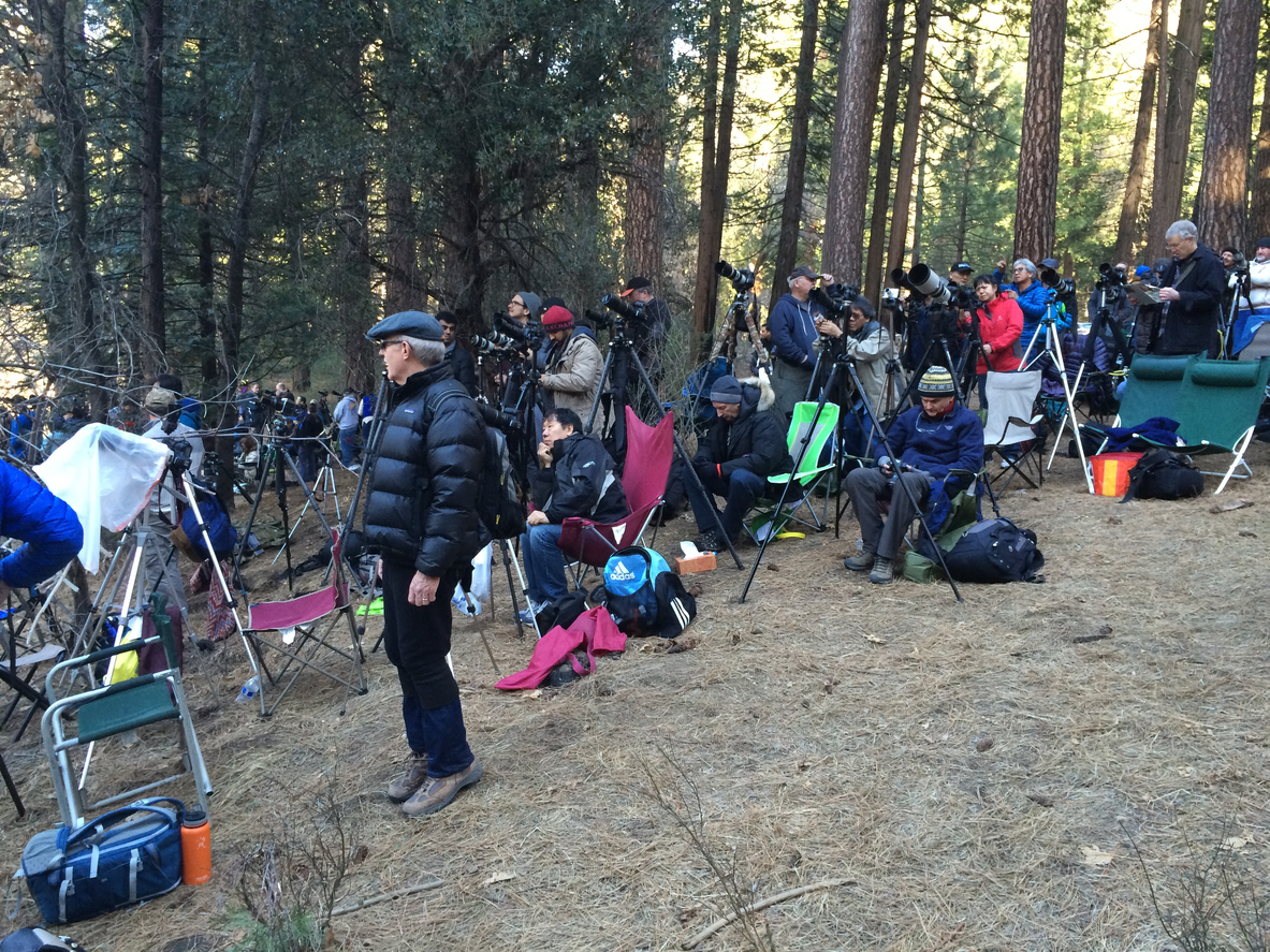 You'll Need a Reservation for This Yosemite Event — Best Life