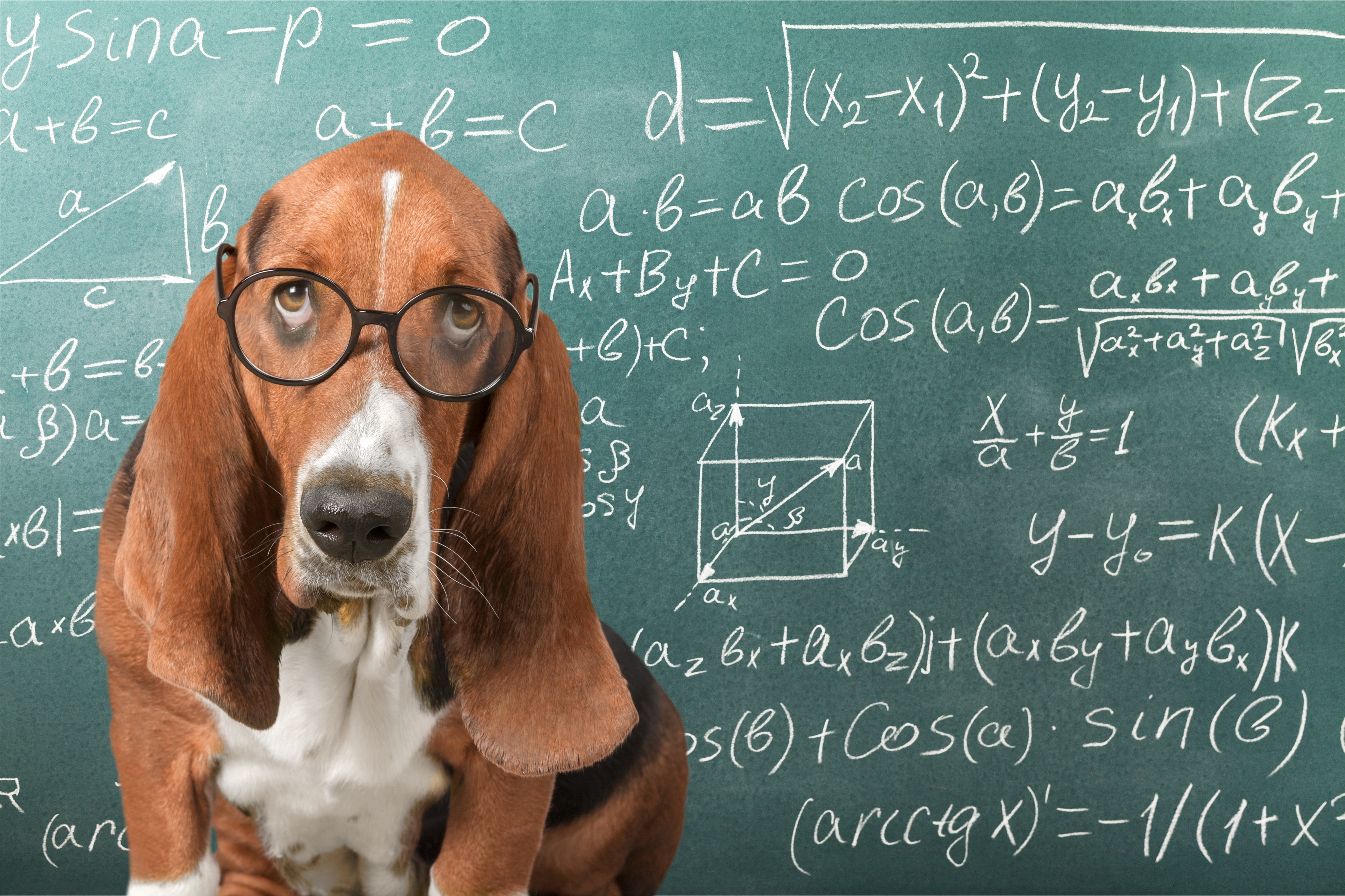 Trick Questions (With Answers!) That Will Completely Bend Your Mind ...