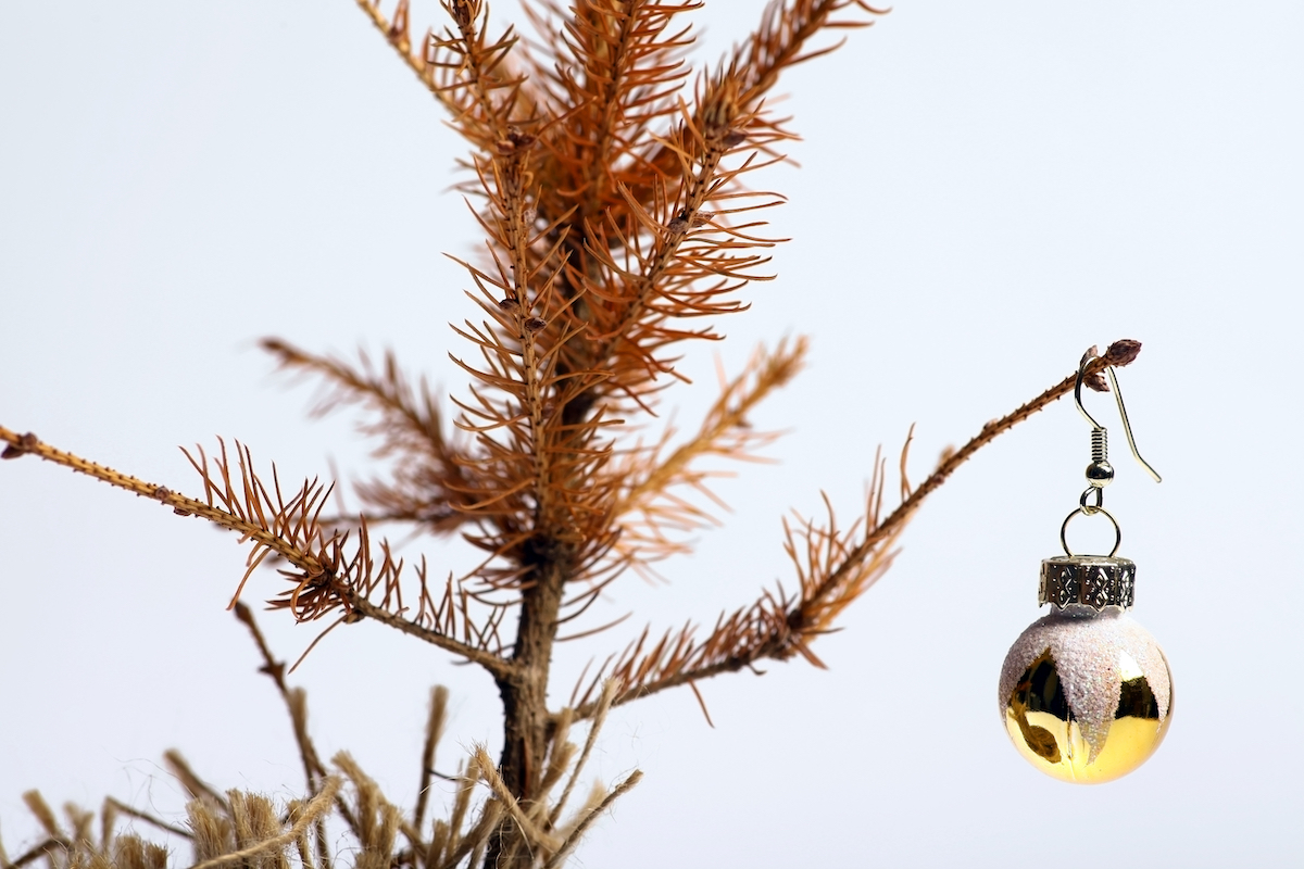 8 Mistakes That Kill Your Christmas Tree — Best Life