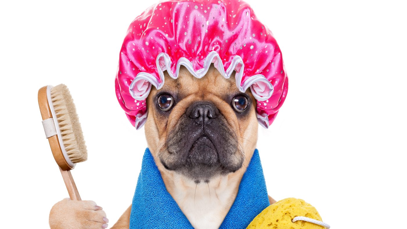 109 Actually Funny Clean Jokes for Any Situation — Best Life