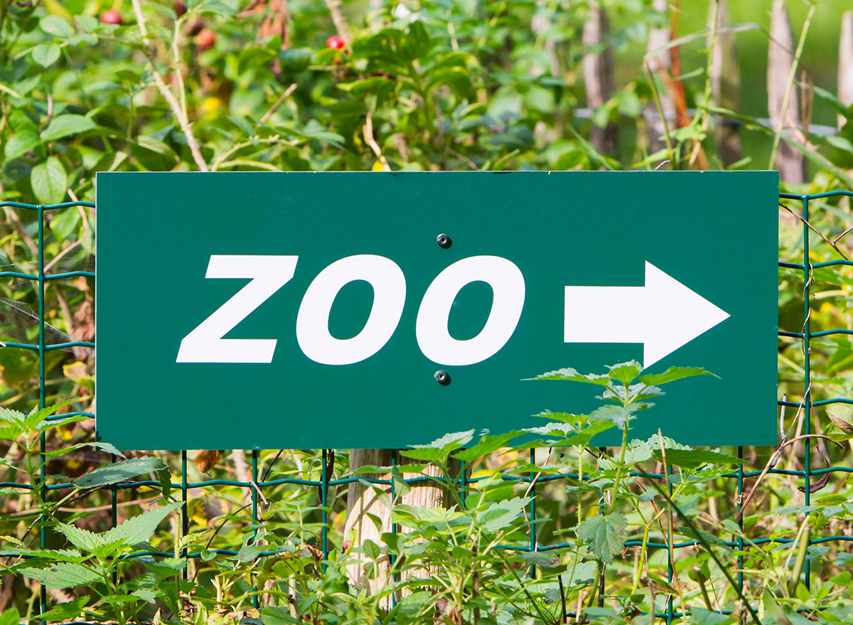 45 Bizarre Animal Behaviors During a Total Solar Eclipse — Best Life