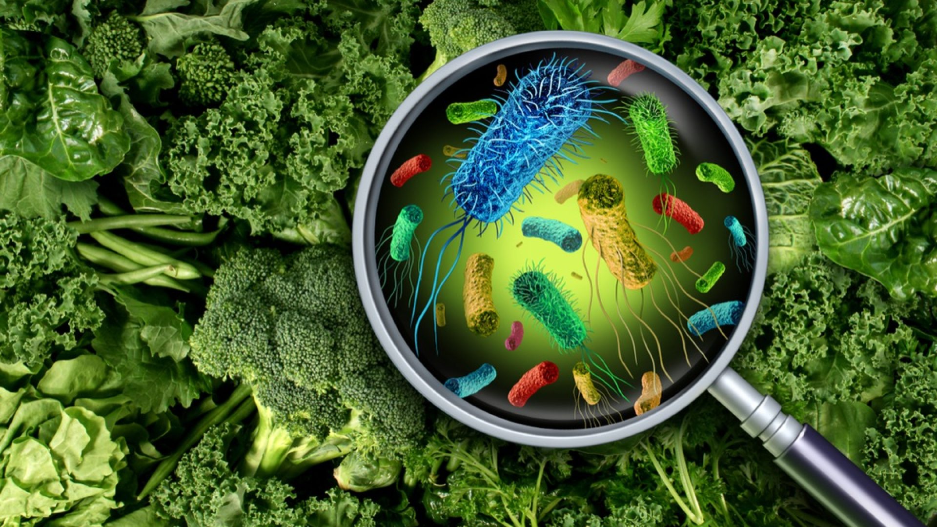 The 9 Foods Most Likely To Cause Listeriosis — Best Life