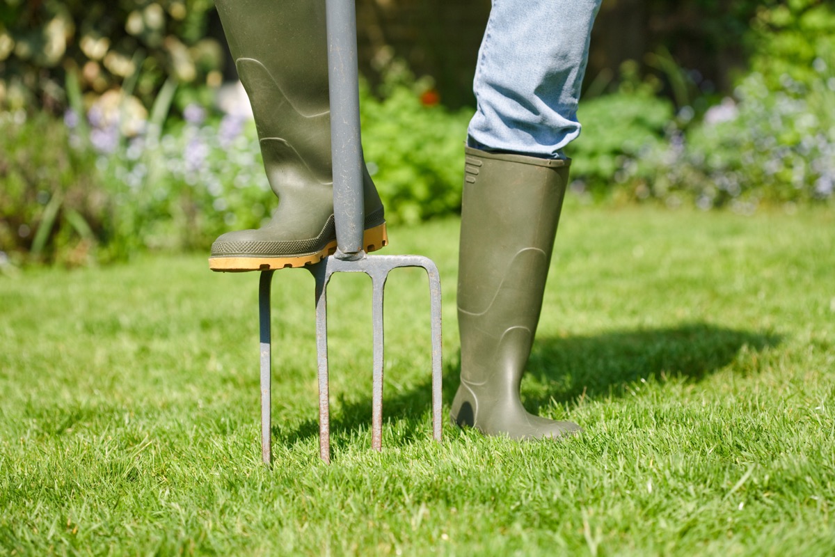 5 Spring Cleaning Tips to Get Your Lawn Ready for Guests