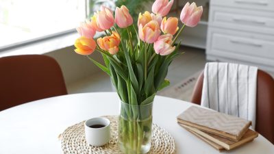 How to Make Your Tulips Last Two Weeks — Best Life