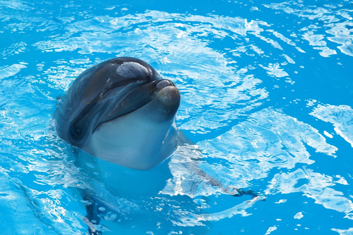 Weird Facts So Strange, You Won't Believe They're True