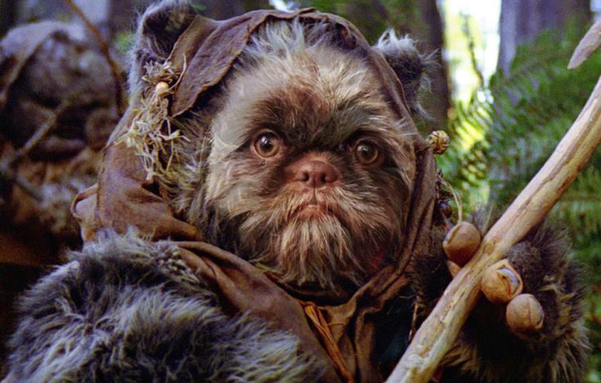 30 Amazing "Star Wars" Facts Even Fans Don't Know — Best Life