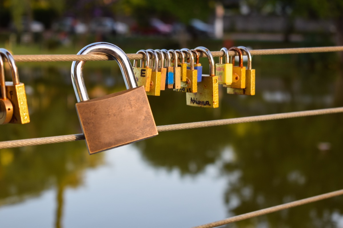 WHAT A FUN READ THIS IS! | INI World Report