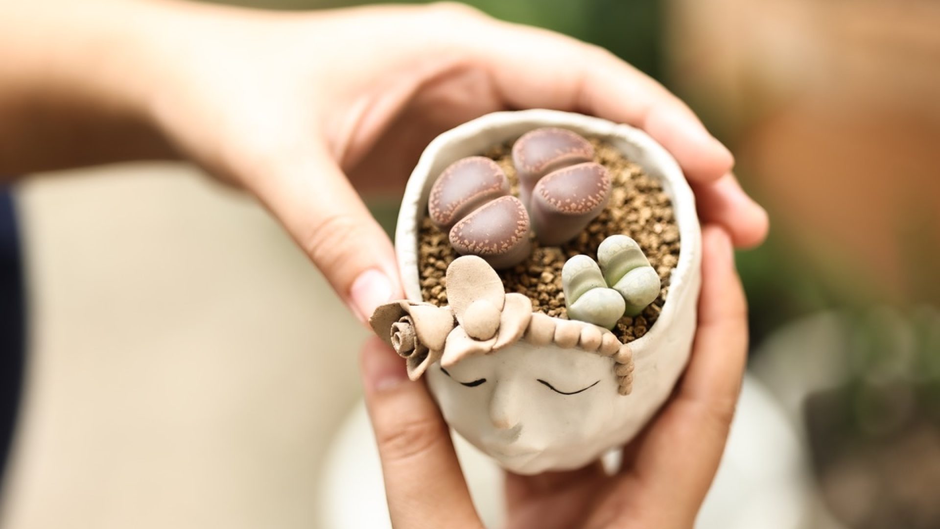 The 7 Cutest Houseplants That Stay Small — Best Life