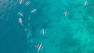 30 Scary Ocean Facts More Terrifying Than What's in Outer Space