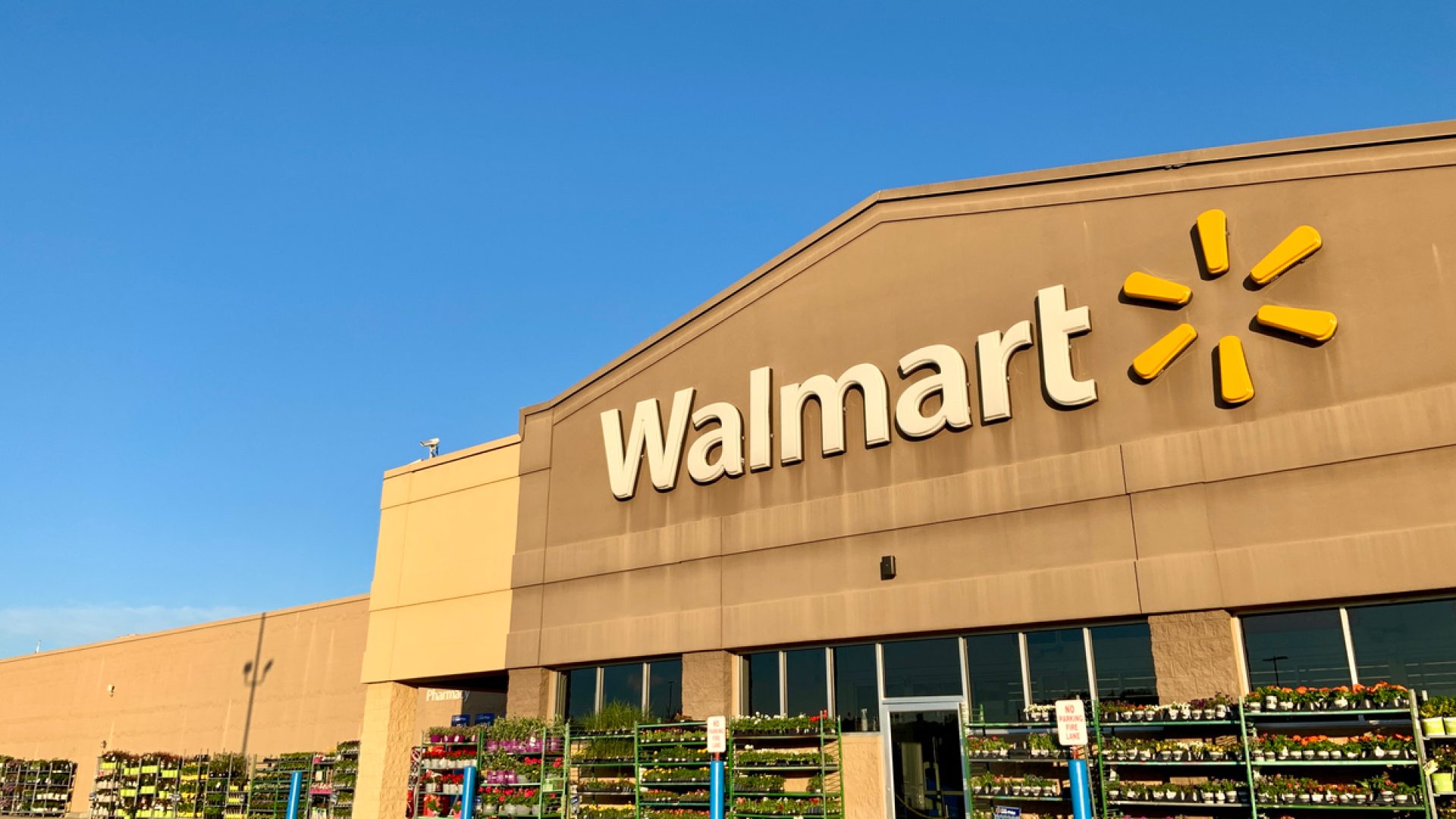 Walmart Sells Tiny Homes for $9,101—Are They Worth It?