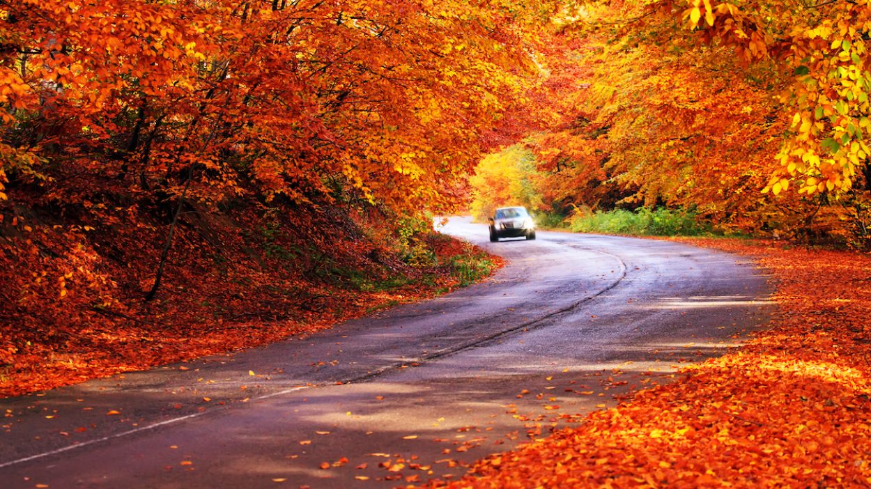 12 Best U.S. Road Trips to See Fall Foliage — Best Life